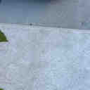 Lark Manor™ Annetra Floral Machine Tufted Polypropylene Indoor ...